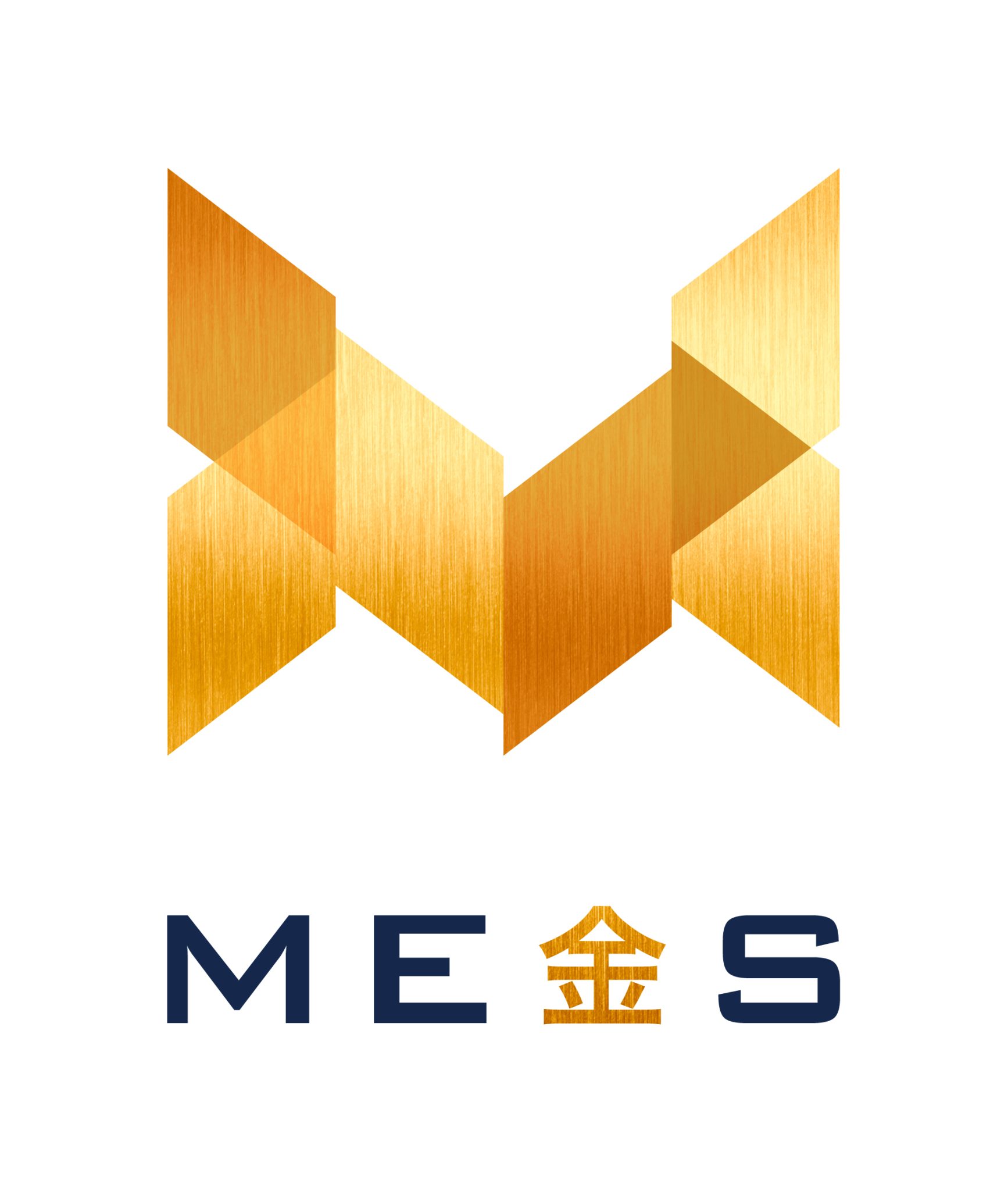 Meet the Team - MEAS